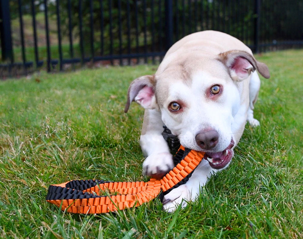 12 in 1 Hammer Multi-Tool