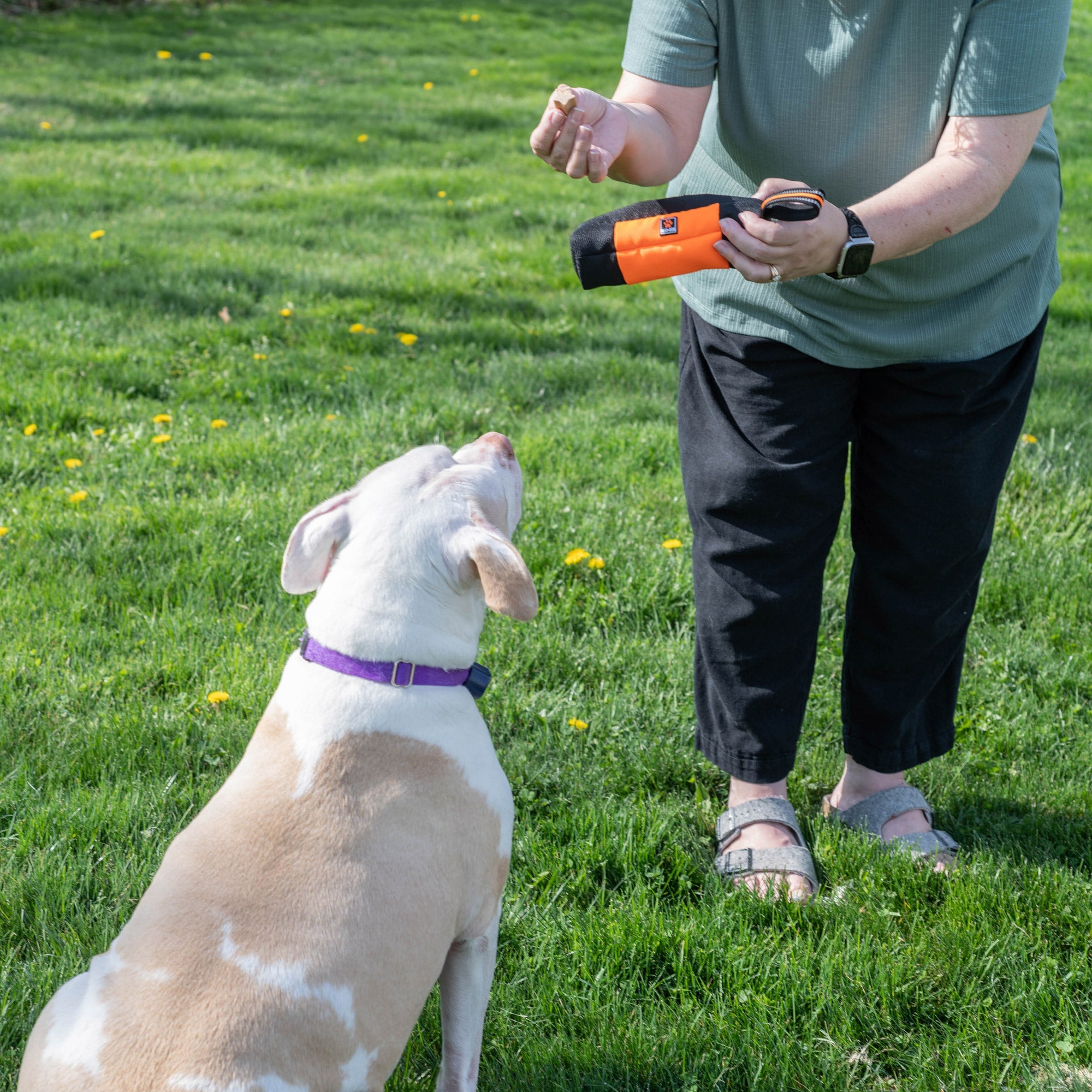 Mad Dog Treat Trainer – Mad Man